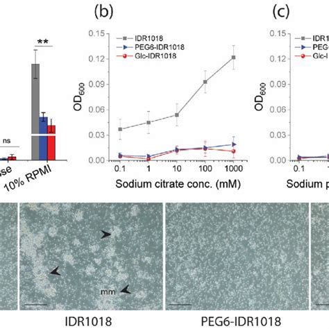 In Vitro Aggregation Experiments Of Idr1018 And Its Conjugates As Download Scientific Diagram