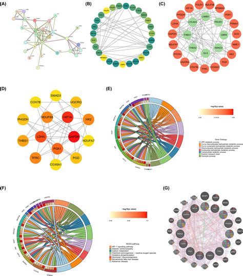Protein Protein Interaction Network Analysis A The Protein