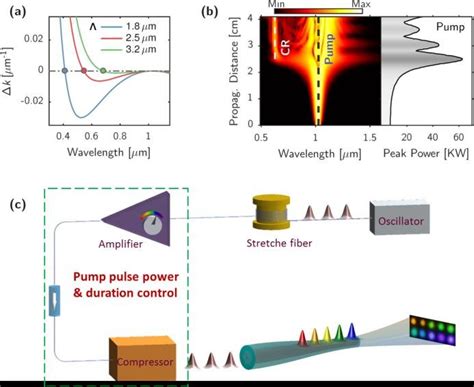 Principle And Experimental Setup Of Tunable Femtosecond Fiber Laser
