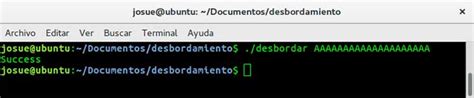 Vulnerabilidad De Buffer Overflow Solvetic