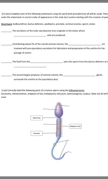 Solved 35 Pts Complete Each Of The Following Statements