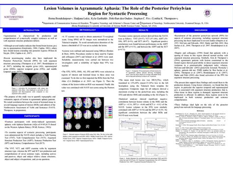 Lesion Volumes In Agrammatic Aphasia The Role Of The Posterior