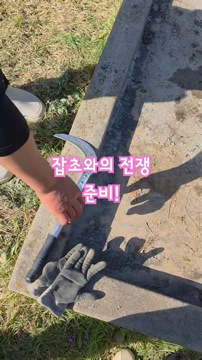 잡초와의 전쟁 준비 Youtube