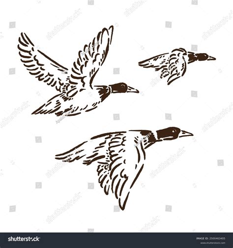 Duck Flying Vector Flying Duck Drawing In One Continuous Line