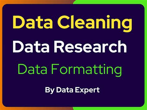 Clean Organize Format And Analyze Data In Microsoft Excel By Paige1