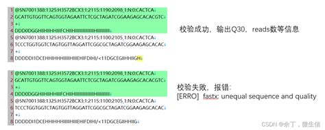 为什么上传geo前需要校验fastq文件正确性，并使用md5值验证文件完整性？ fastq 文件中的第行无效 csdn博客