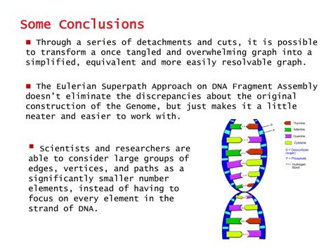 Ppt Graph Theory Aiding Dna Fragment Assembly Powerpoint Presentation Id 165855
