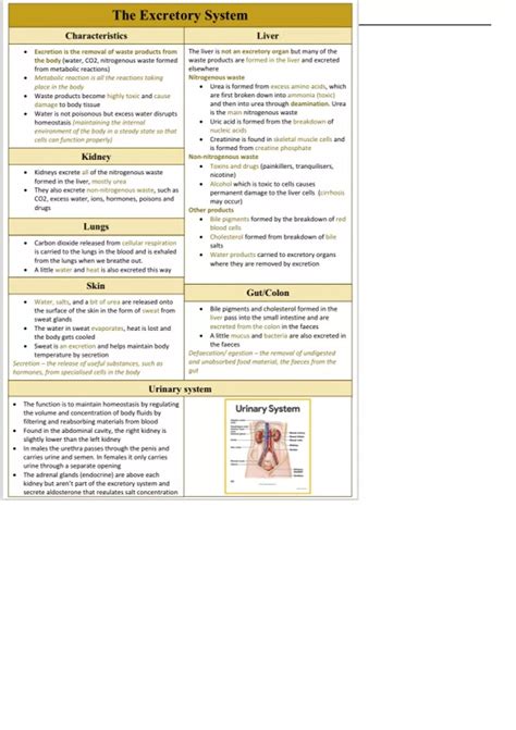 Summary Life Sciences Grade 11 Ieb Excretory System Notes Life Sciences Stuvia Sa