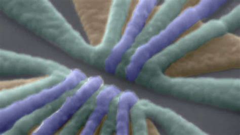 Scientists Achieved Triple Qubit Entanglement