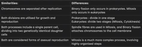 honors bio module 3 review flashcards quizlet