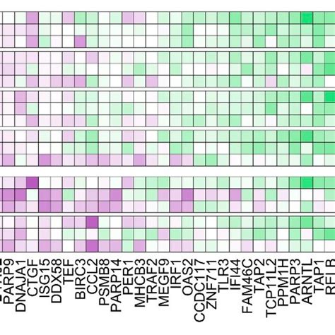 normalized expression values transcripts per million—tpm for five