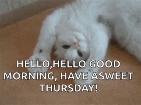 Good Morning Happy Thursday Sleepy Stitch Cartoon 