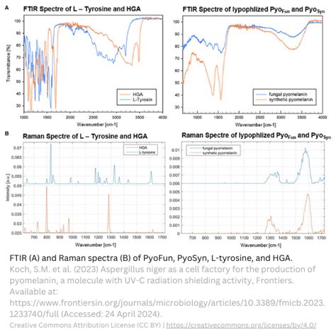 Raman Spectroscopy Microscopy Fastest CRO TRACER