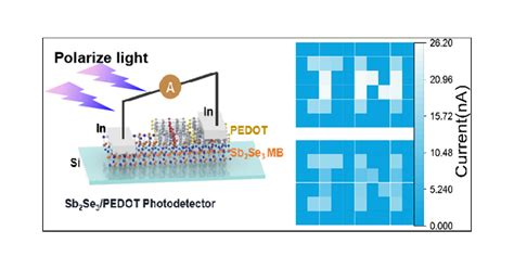 Sb2se3 Microbeltpedot Heterojunction For A Self Powered Visible To Near Infrared Photodetector