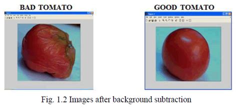 Identifying The Quality Of Tomatoes In Image Processing Using Matlab