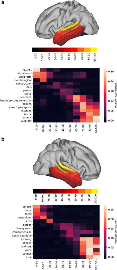 Functional Decoding Tables Of The Dominant Connectivity Gradient Of The