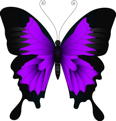 Purple Butterfly Png Clip Art Image Pink Butterfly Clip Art