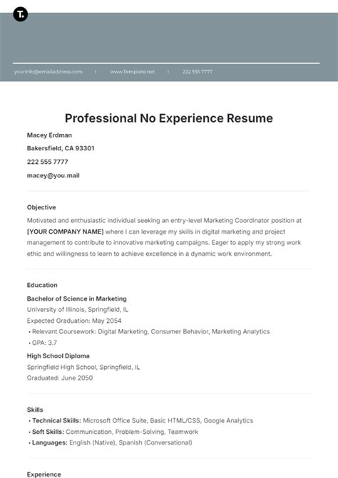 Free Professional No Experience Resume Template To Edit Online