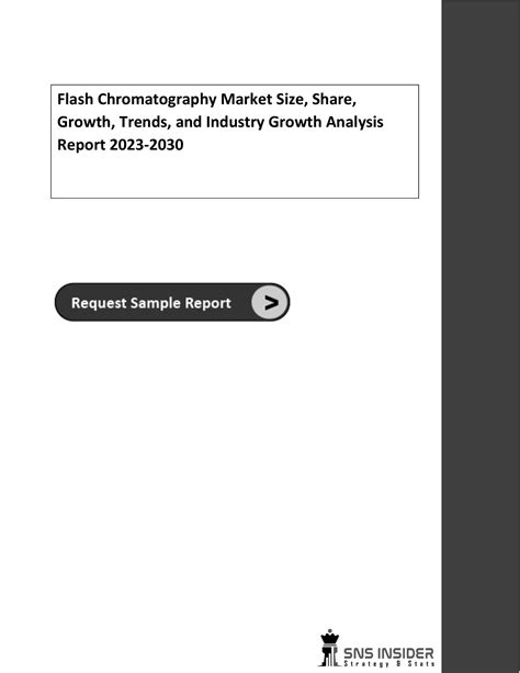 Flash Chromatography Market Sagar Mulik Page 1 7 Flip Pdf