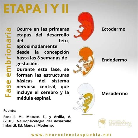 Despertando Del Autismo Added A Despertando Del Autismo