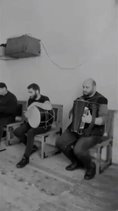 ყაზბეგურის ტეხილი შემსრულებლებიი🙏🏻💚💚 Youtube