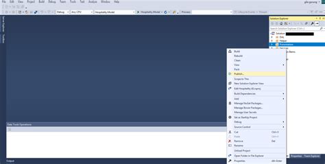 Web Deployment From Visual Studio Dotnet Copilot