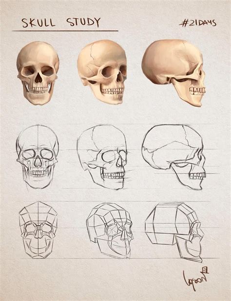 How To Draw A Skull With A Pencil Step By Step Drawing Tutorial Artofit