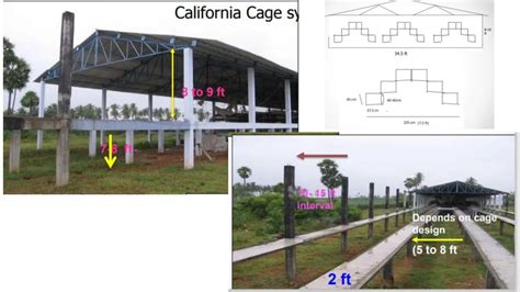 Intensive Housing Systems For Poultrypptx
