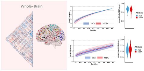 Global And Local Efficiency Of The Whole Brain Functional Connectome