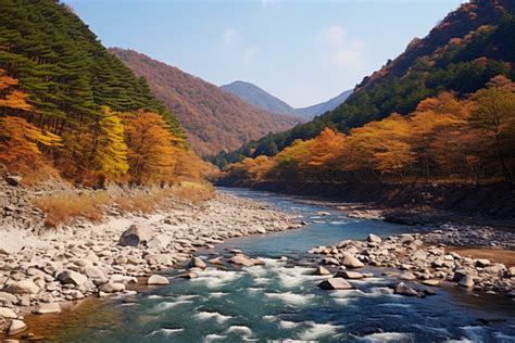 가을 풀 Hd 벽지 데스크탑용 무료 배경화면 다운로드 시즌 가을 그림 배경 일러스트 및 사진 무료 다운로드 Pngtree