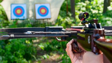 How To Use A Crossbow And Why Use It Over Guns Survival Life