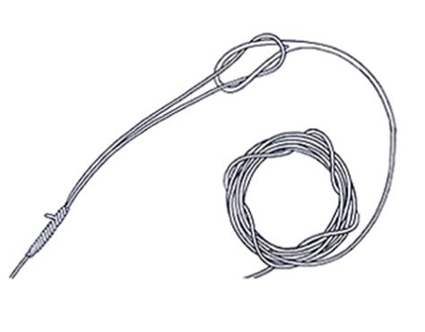 Loop Cross Loop Connection Step By Step Knots Fishing Khao Lak