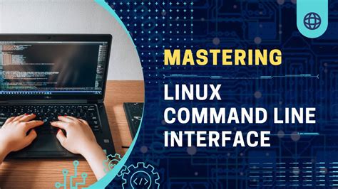 mastering the linux command line interface cli a beginner s guide