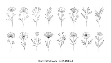 Pattern Fine Line Drawing Flowers Photos Images And Pictures Shutterstock