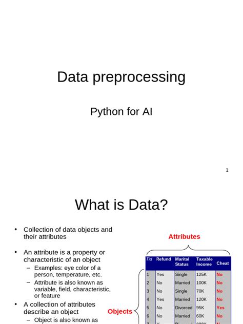 Data Preprocessing Pdf