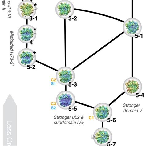 Relations Between Particle Classes Similar Particles Are Connected By