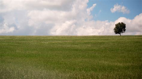 배경 화면 푸른 나무 녹색 지평선 구름 하늘 경치 미니멀리즘 미니멈ismo 4912x2760 1005787 배경 화면 Wallhere