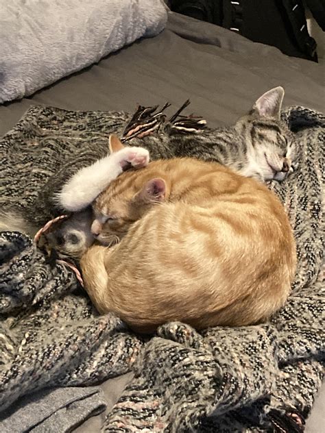 A lovely place to sleep... | Scrolller