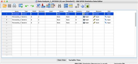 After Youve Downloaded The Spss Data Filedata