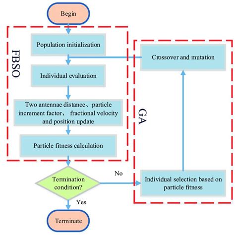 The Schematic Representation Of The Hga Fbso Algorithm Download Scientific Diagram