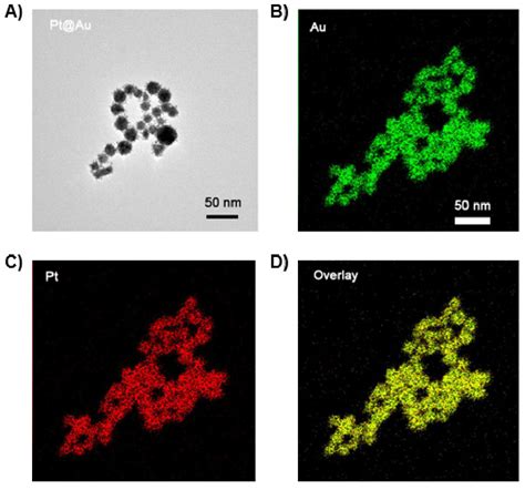 Figure 1 From A Nanozymatic Mediated Smartphone Colorimetric Sensing Platform For The Detection