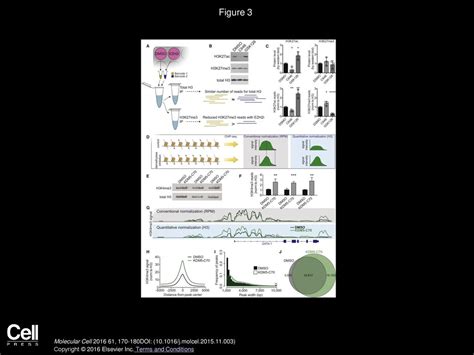 Volume 61 Issue 1 Pages January 2016 Ppt Download