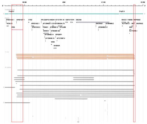 Annotated Genes And Segment Data Obtained From Different Array Cgh Download Scientific Diagram