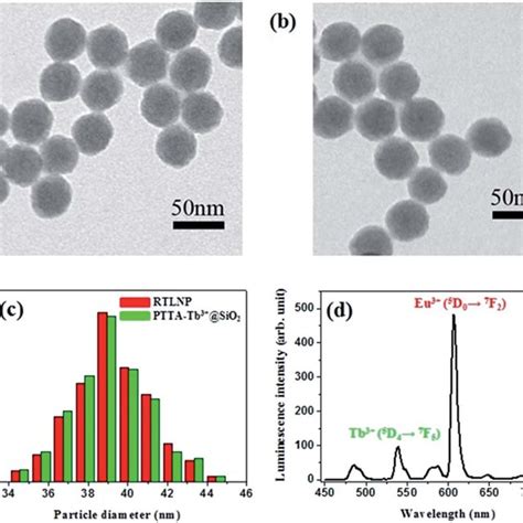 Intracorporal Process Evaluated By Time Gated Luminescence Imaging At