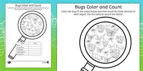 Bugs Color And Count Worksheet Professor Feito Twinkl