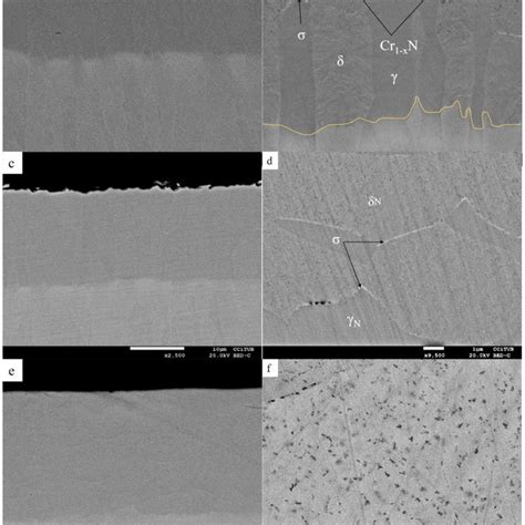 Pdf Duplex And Superduplex Stainless Steels Microstructure And Property Evolution By Surface