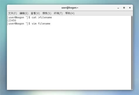 Linux 常用文件查看命令 Csdn博客