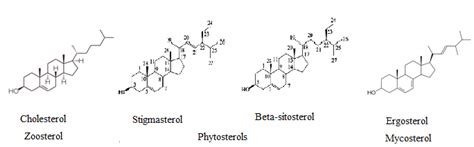 Structure Of Common Sterols Download Scientific Diagram