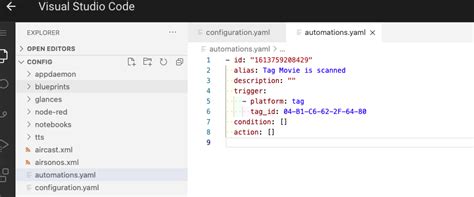 tag validation · issue 1058 · keesschollaart81 vscode home assistant