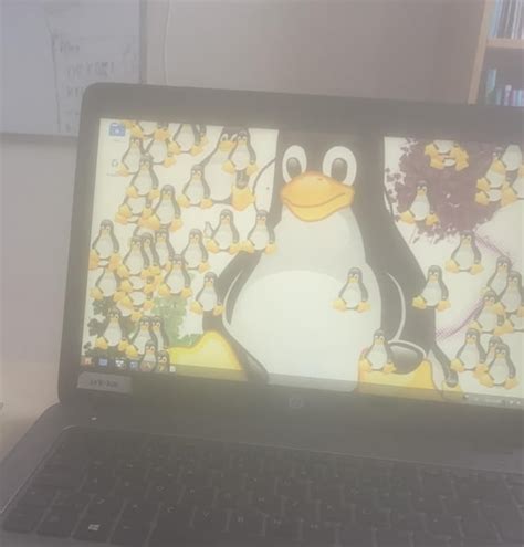 this is why i love linux r linuxmemes